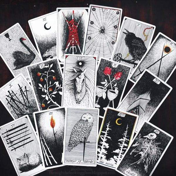 The Wild Unknown Tarot Deck | SOCIAL LIGHTS INC.®